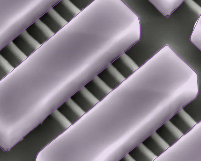 대면적 현미경 이미지 분석을 위한 AI 기술 | DEEP BLOCK